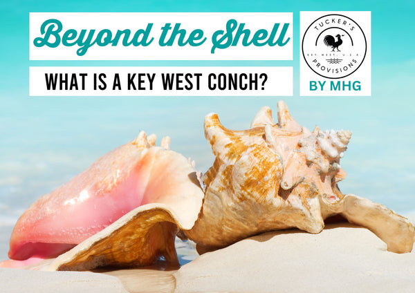 BEYOND THE SHELL - What is a Key West Conch? - Tucker's Provisions